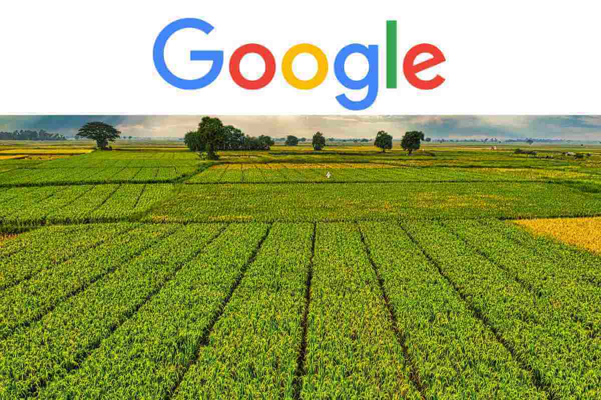 Google Developing Digital Agri-Stack Using Satellite Imagery for India ...